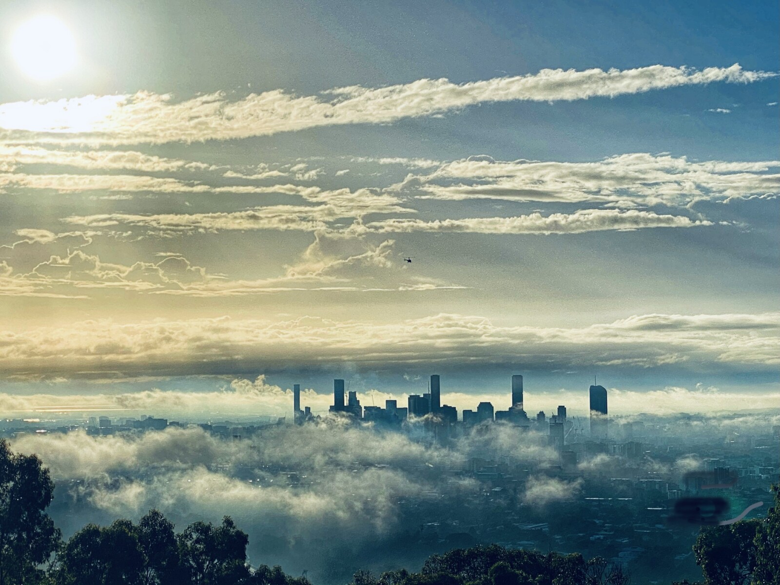 View From The Top: Riding Brisbane's Mount Coot-Tha - Bicycling Australia